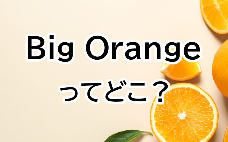 「Big Orange」って？ 大きなオレンジではなく… あそこのこと！【連載 大人の英語塾】 | Oggi.jp