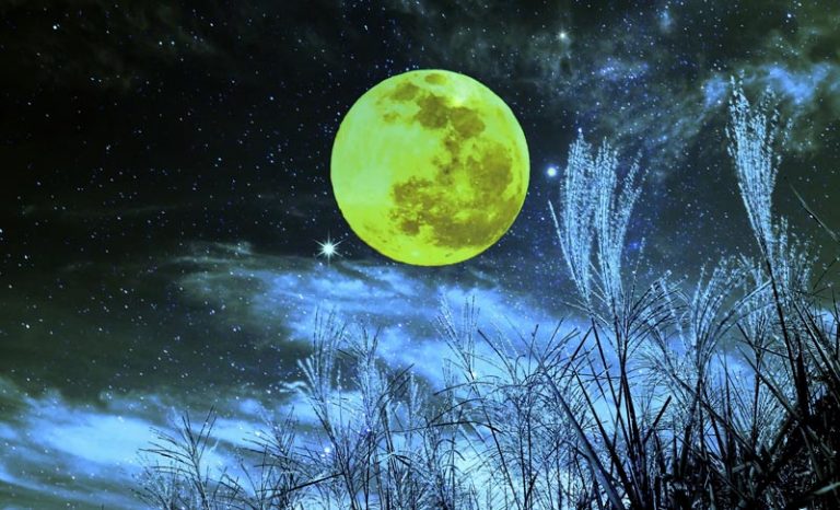 10月といえば何をイメージする？行事やイベント、食べ物など秋の風物詩を紹介 | Oggi.jp