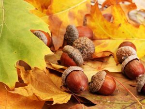 「同工異曲」ってどんな意味？ 言葉の由来や使い方の例文、類語や英語表現も | Oggi.jp