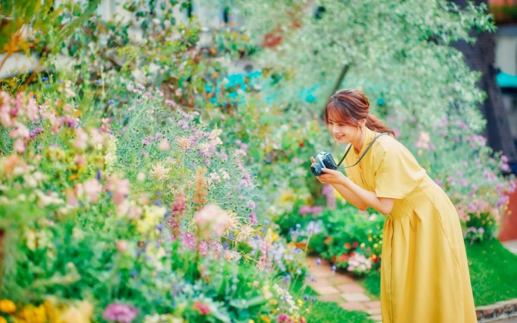 バラ、藤、芝桜など！全国の「春の花絶景」を楽しめるスポット8選【GWのお出かけにも】 | Oggi.jp