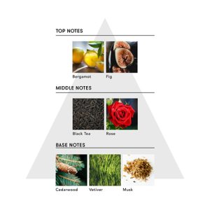 【AMERI × SINN PURETÉ】香りを着こなすフレグランスアイテムが登場 | Oggi.jp